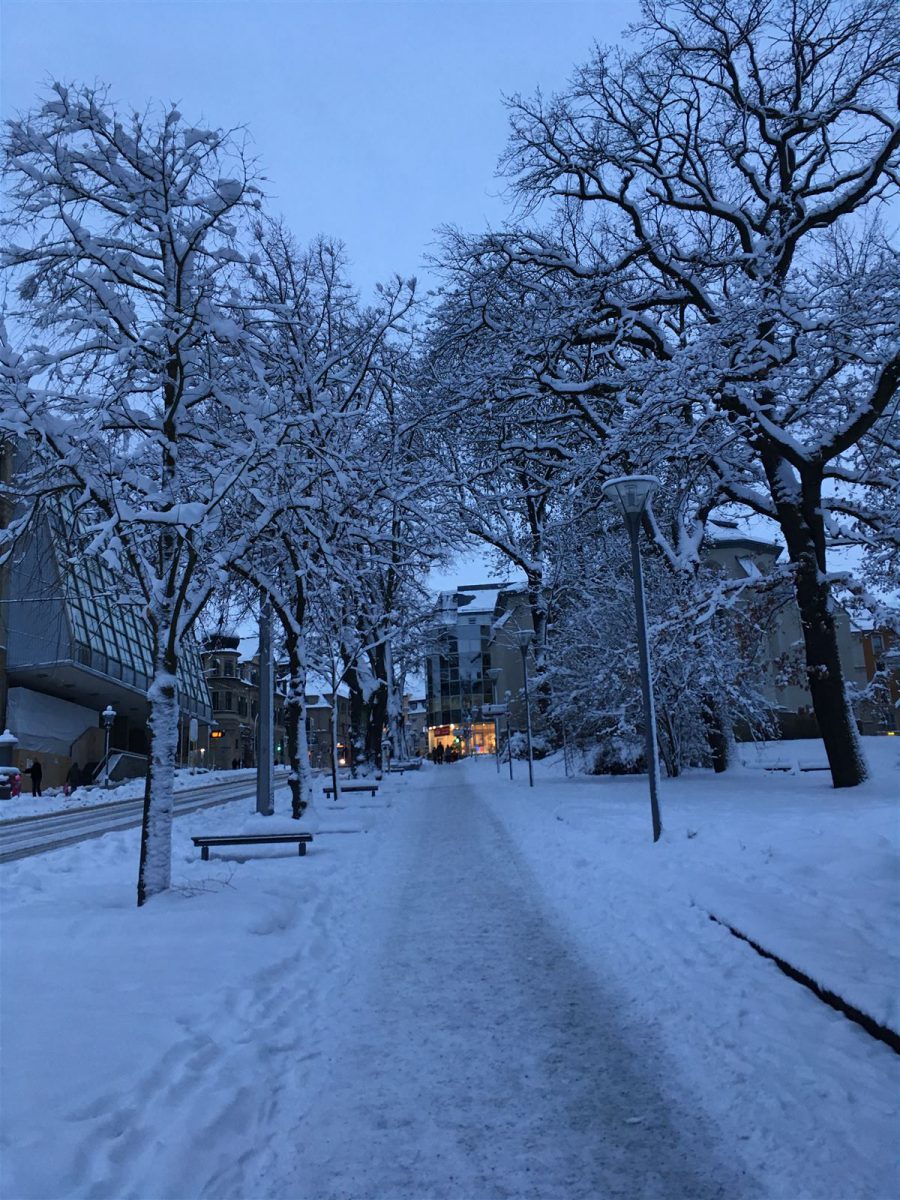 Winterlicher Spaziergang durch Plauen - VOGTLAND-ZAUBER | REISE BLOG